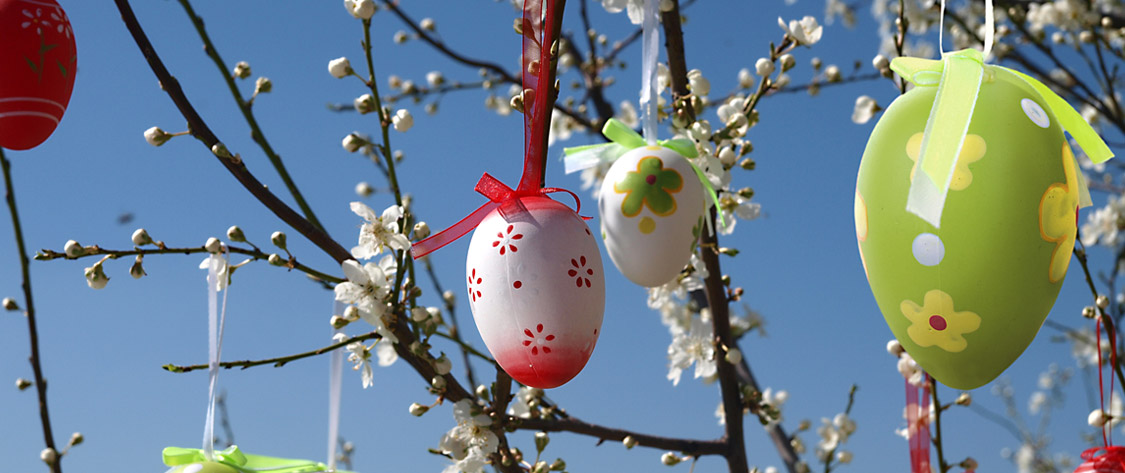 Osterbaum: Conheça a Tradição da Árvore de Páscoa
